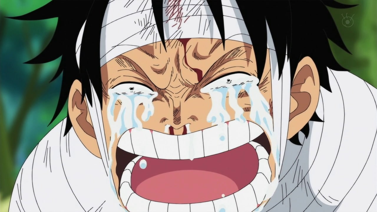 รวม 20 ฉากเรียกน้ำตา จากการ์ตูนเรื่อง One Piece