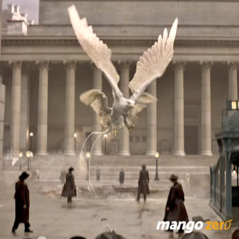 สัมภาษณ์: แฟนพันธ์ุแท้ Harry Potter กับสิ่งที่คุณควรรู้ในหนัง Fastastic ...