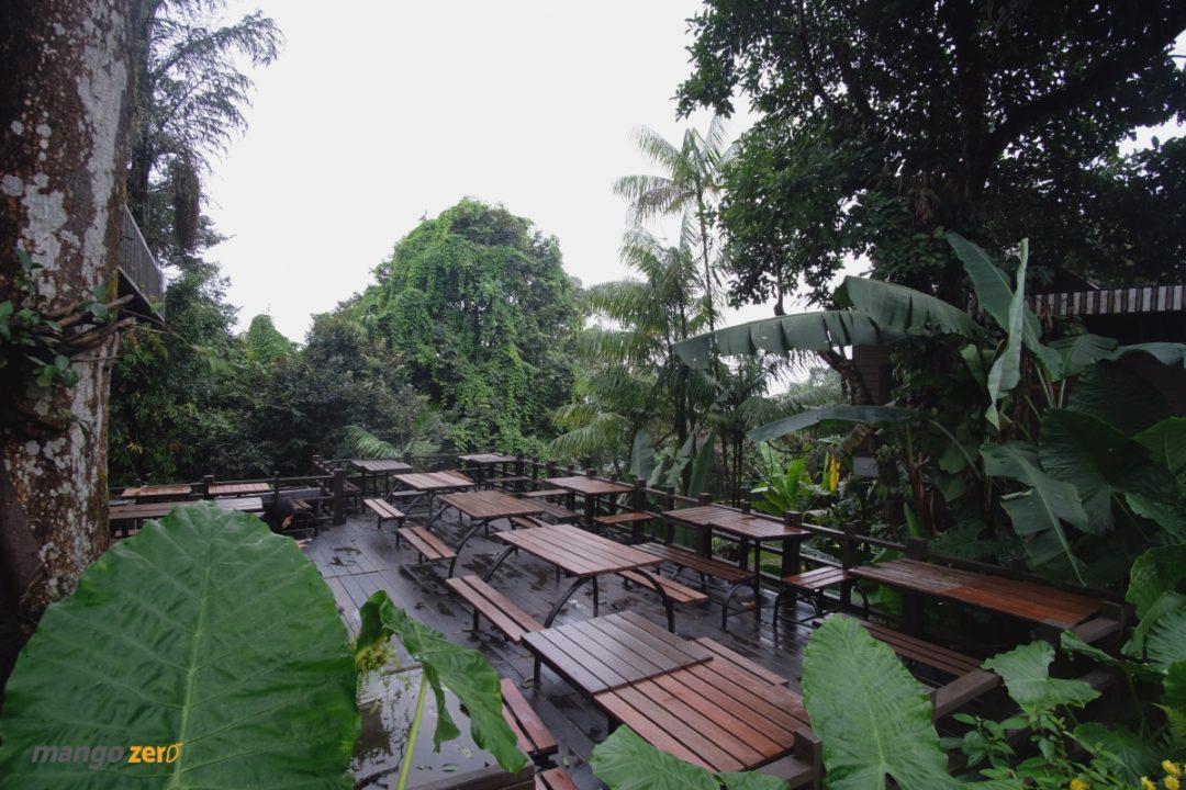 รีวิว DoiTung Tree Top Walk สะพานเดินเรือนยอดไม้ดอยตุง จังหวัดเชียงราย