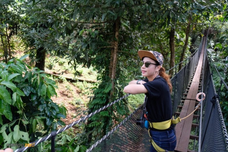 รีวิว DoiTung Tree Top Walk สะพานเดินเรือนยอดไม้ดอยตุง จังหวัดเชียงราย