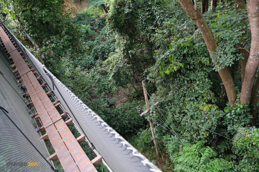 รีวิว DoiTung Tree Top Walk สะพานเดินเรือนยอดไม้ดอยตุง จังหวัดเชียงราย