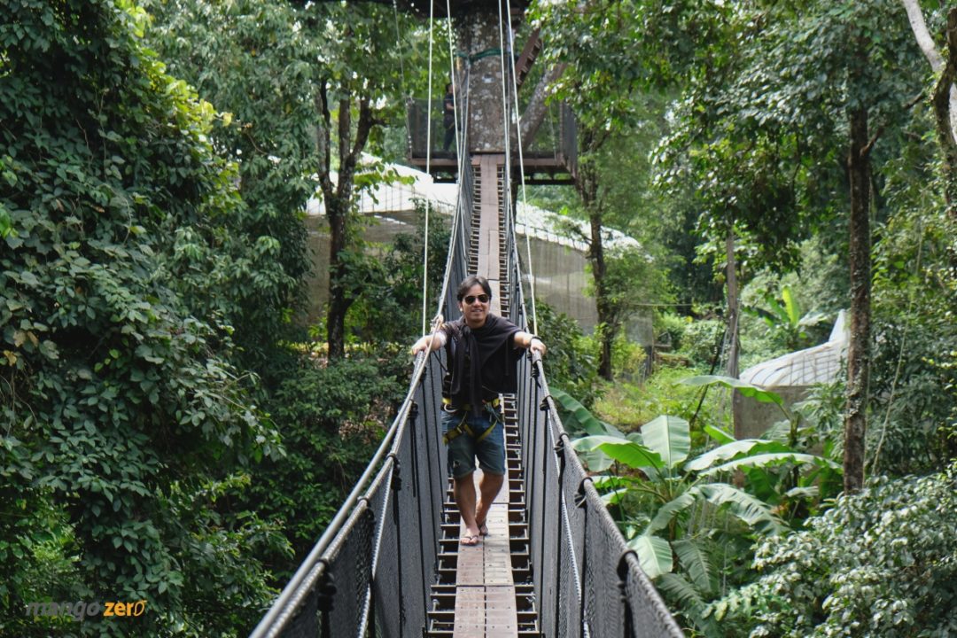 รีวิว DoiTung Tree Top Walk สะพานเดินเรือนยอดไม้ดอยตุง จังหวัดเชียงราย