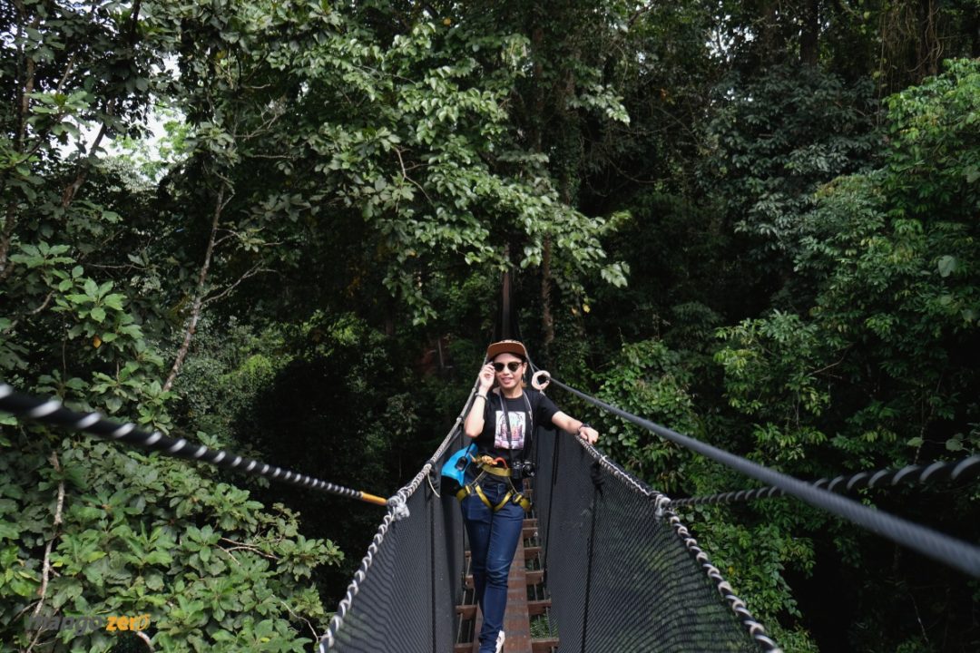รีวิว DoiTung Tree Top Walk สะพานเดินเรือนยอดไม้ดอยตุง จังหวัดเชียงราย