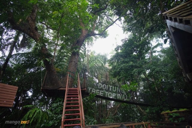 รีวิว DoiTung Tree Top Walk สะพานเดินเรือนยอดไม้ดอยตุง จังหวัดเชียงราย