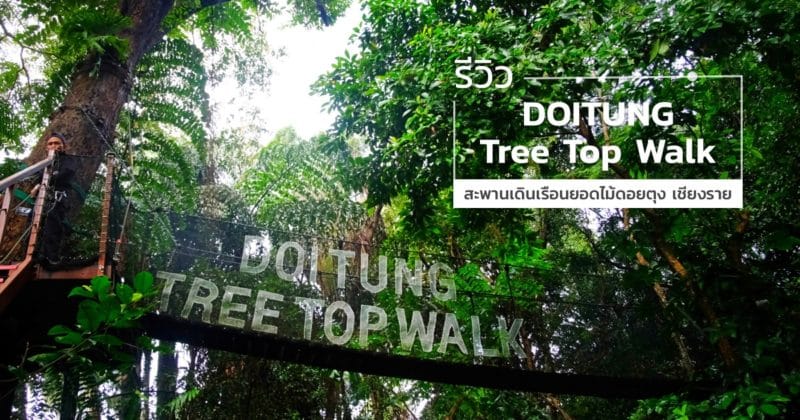รีวิว DoiTung Tree Top Walk สะพานเดินเรือนยอดไม้ดอยตุง จังหวัดเชียงราย
