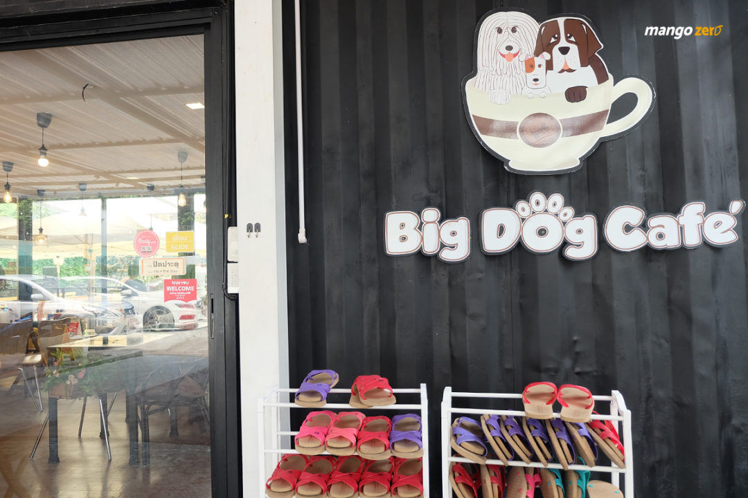 นั่งชิว จิบชา กอดน้องหมา (ตัวใหญ่) ที่ Big Dog Cafe’