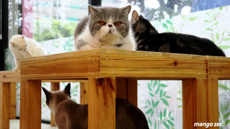 พาไปสำรวจวิวดีๆ ที่ 'บางโพ' ชุมชนเมืองแห่งใหม่ที่พร้อมทั้งการเดินทาง ...