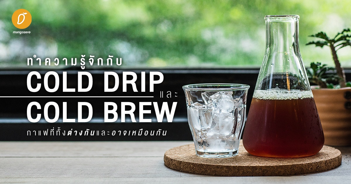 ทำความรู้จักกับ Cold Drip และ Cold Brew กาแฟที่ทั้งต่างกันและอาจเหมือนกัน