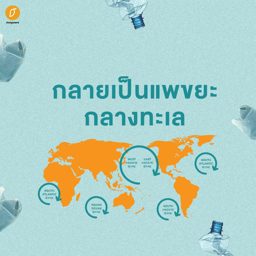 เกิดอะไรกับขยะพลาสติกที่เราทิ้งไป