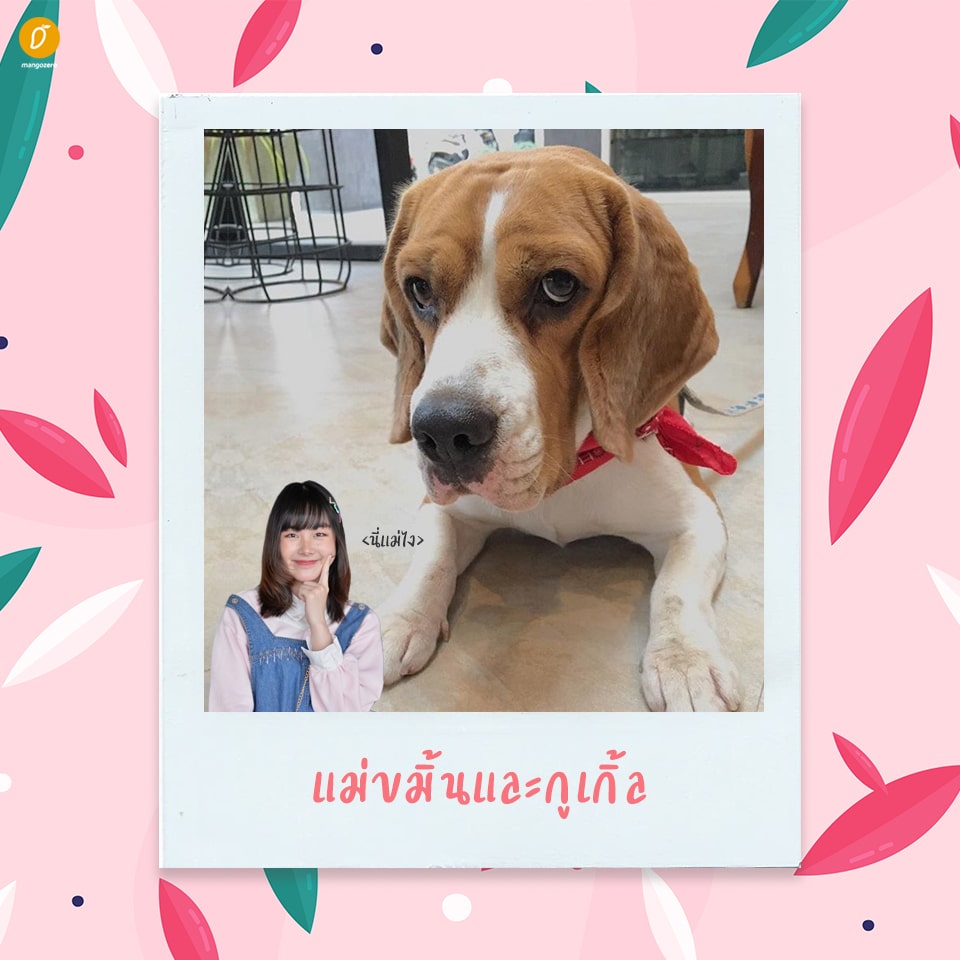 Love me love my pets สาวๆ BNK48 กับสัตว์เลี้ยงสุดน่ารัก เห็นทีไรพาหัวใจ ...