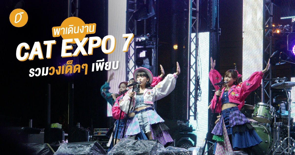 ทาสเดียวที่ฉันรักคือทาสแมว! พาเดินงาน Cat Expo 7 รวมวงเด็ดๆ เพียบ