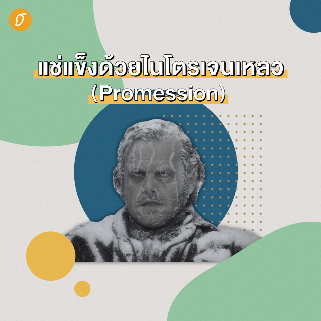 ตายแล้ว(เอาร่าง)ไปไหนดี