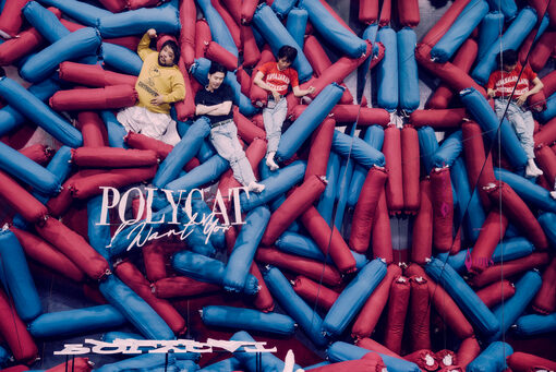 จัดเต็มแสงสีเสียง ที่งาน POLYCAT ‘Concert’ Exhibition @ House of Illumination ในรูปแบบดิจิทัล ...