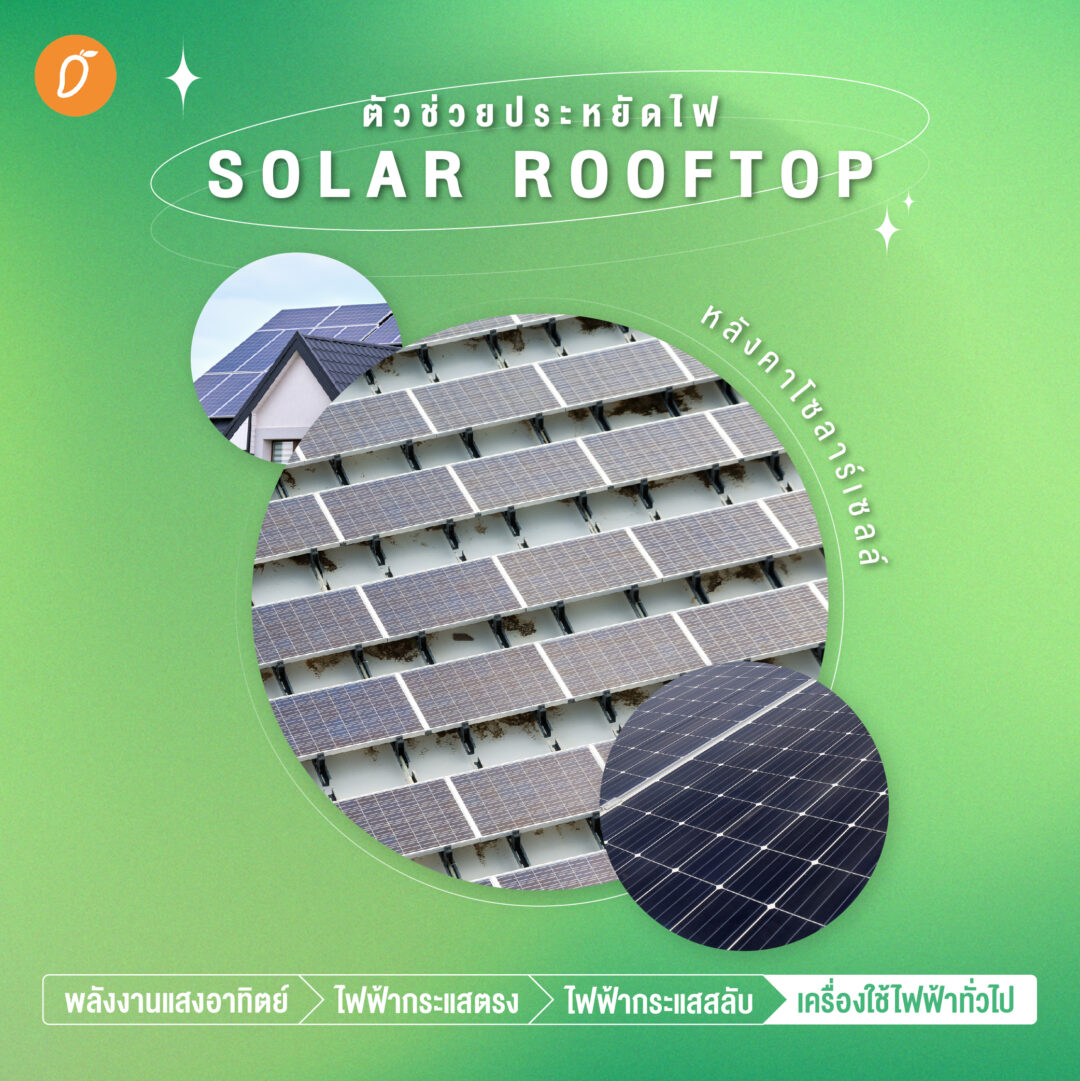 GO GREEN Together เปิดโลก Green Tech อัปเดตเทรนด์รักษ์โลก 2022