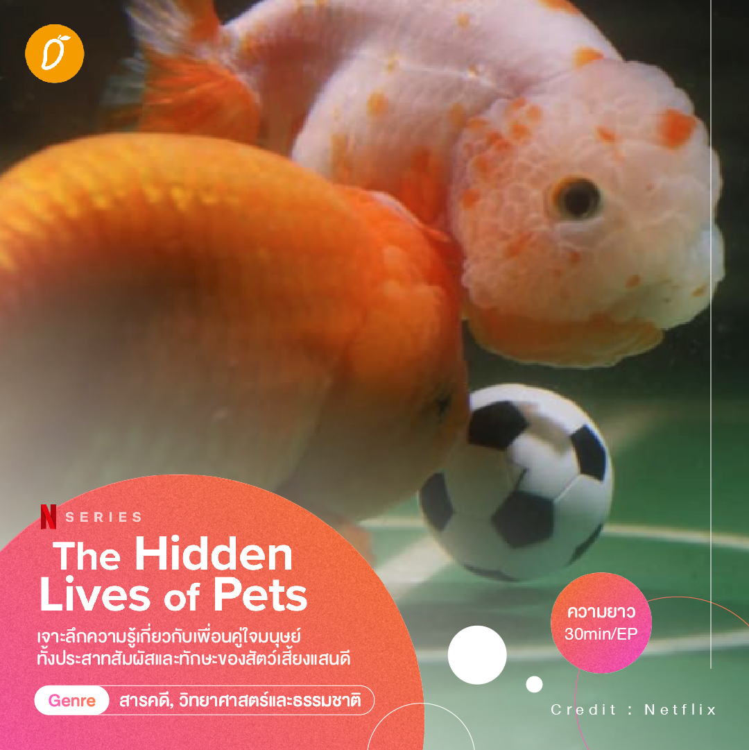 รวมลิสต์ 10 รายการเปิดโลก - จิตวิทยาไว้ดูยามว่างผ่าน Netflix