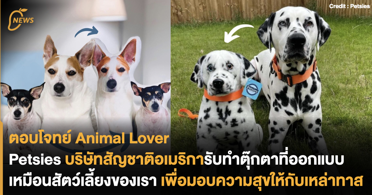 Petsies บริษัทสัญชาติอเมริการับทำตุ๊กตาที่ออกแบบเหมือนสัตว์เลี้ยงของเรา ...