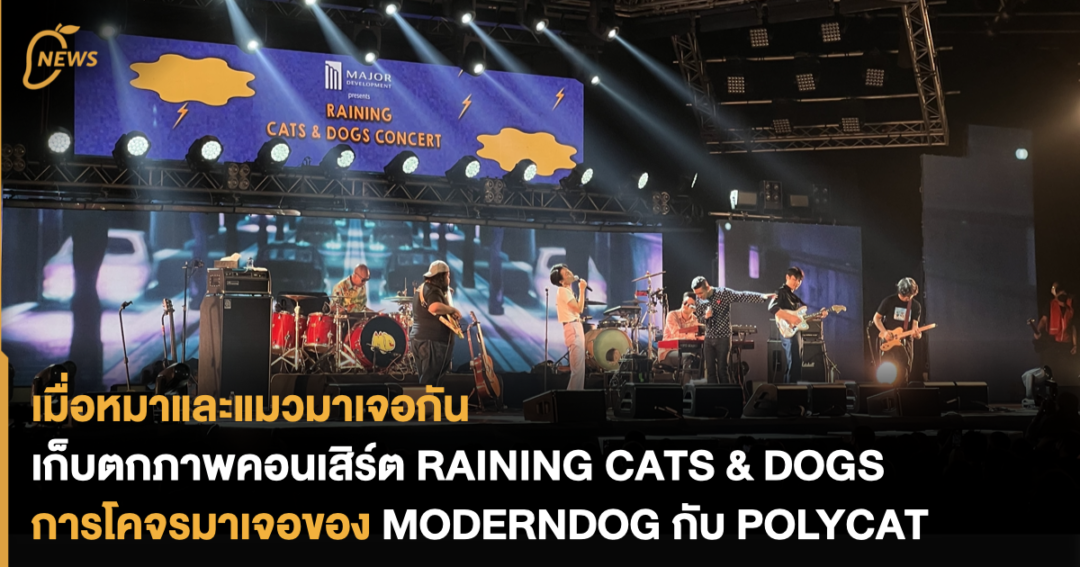 เมื่อหมาและแมวมาเจอกัน เก็บตกภาพบรรยากาศคอนเสิร์ต RAINING CATS & DOGS การโคจรมาเจอของ MODERNDOG ...