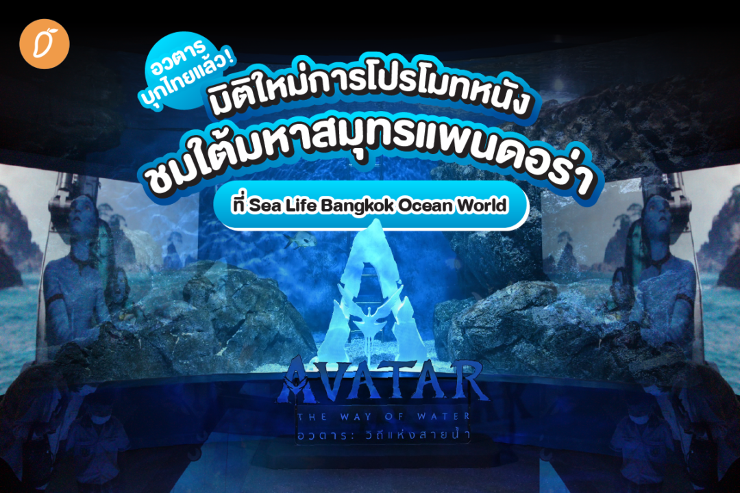 AVATAR-web-01 - Mango Zero