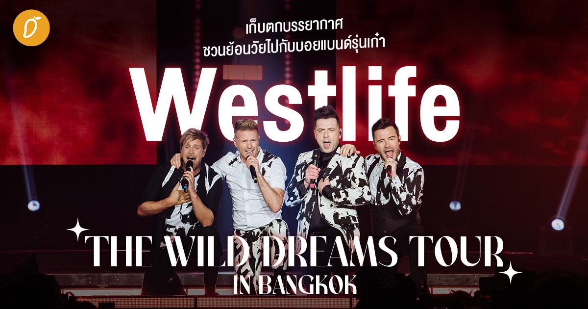 เก็บตกบรรยากาศชวนย้อนวัยไปกับบอยแบนด์รุ่นเก๋า Westlife The Wild Dreams ...