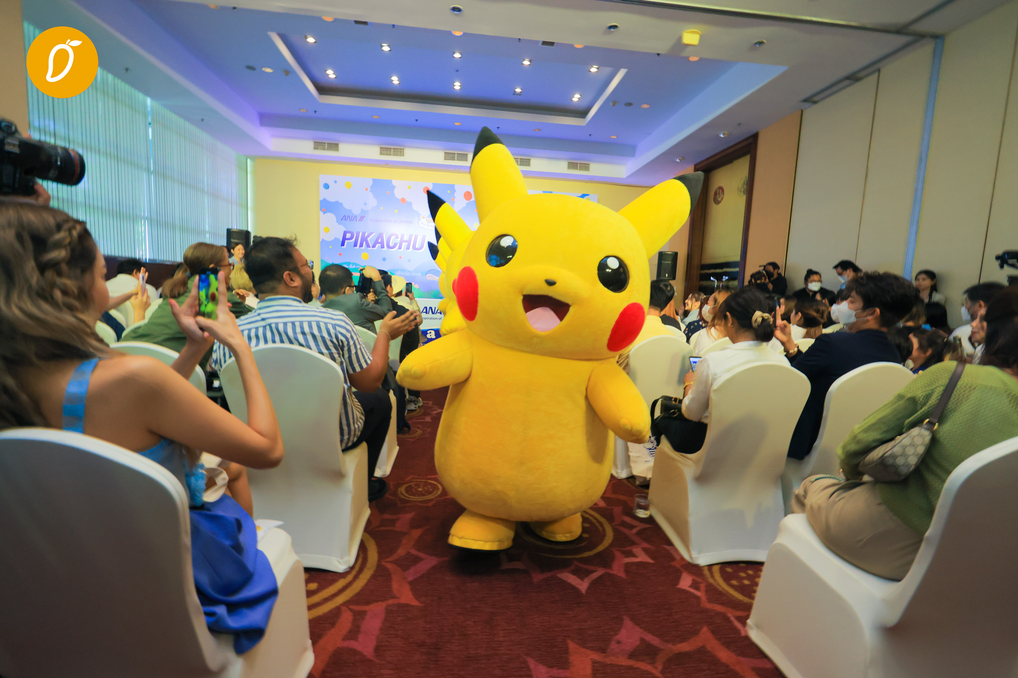 MR5_7422-2 - Mango Zero