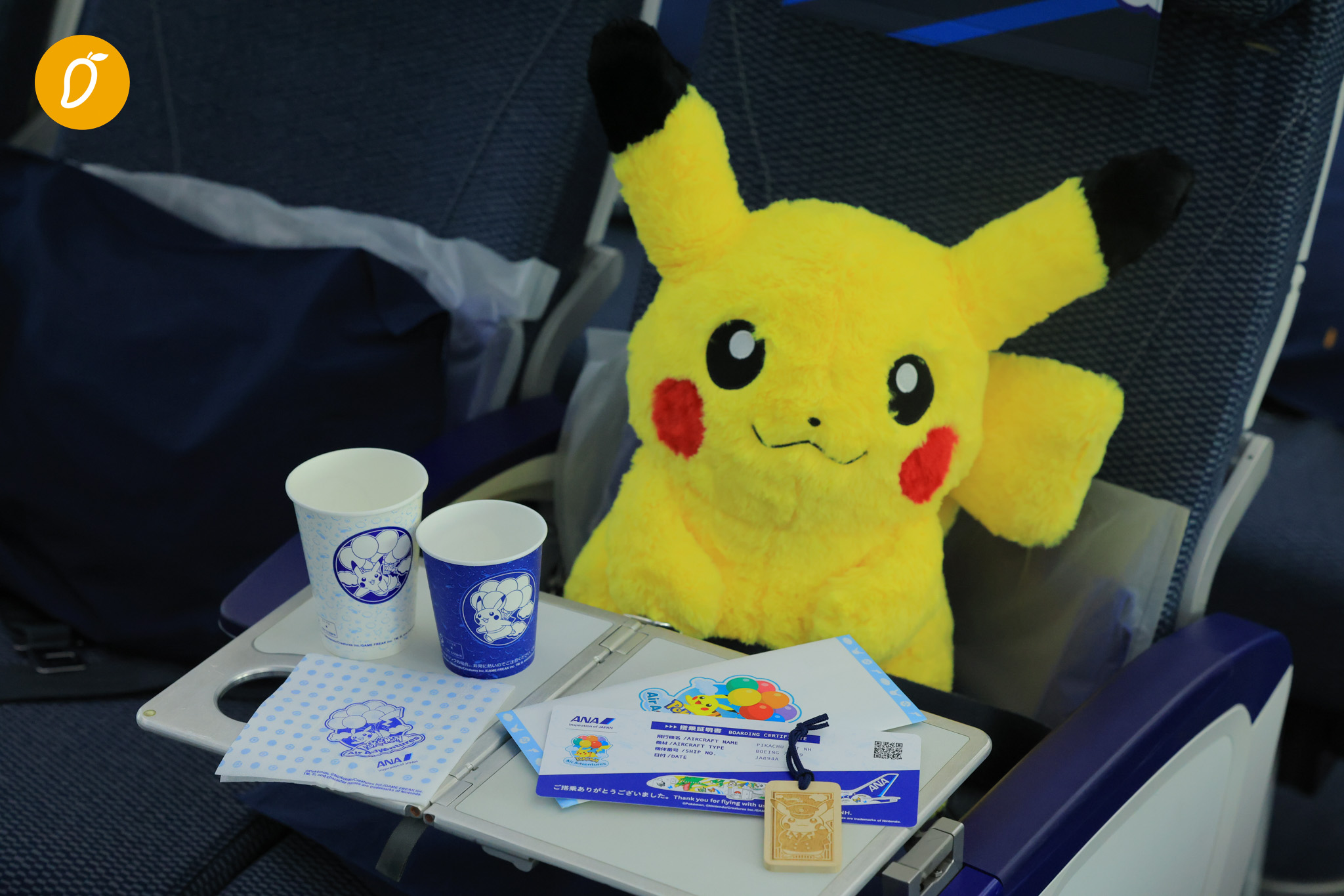 MR5_8065-2 - Mango Zero