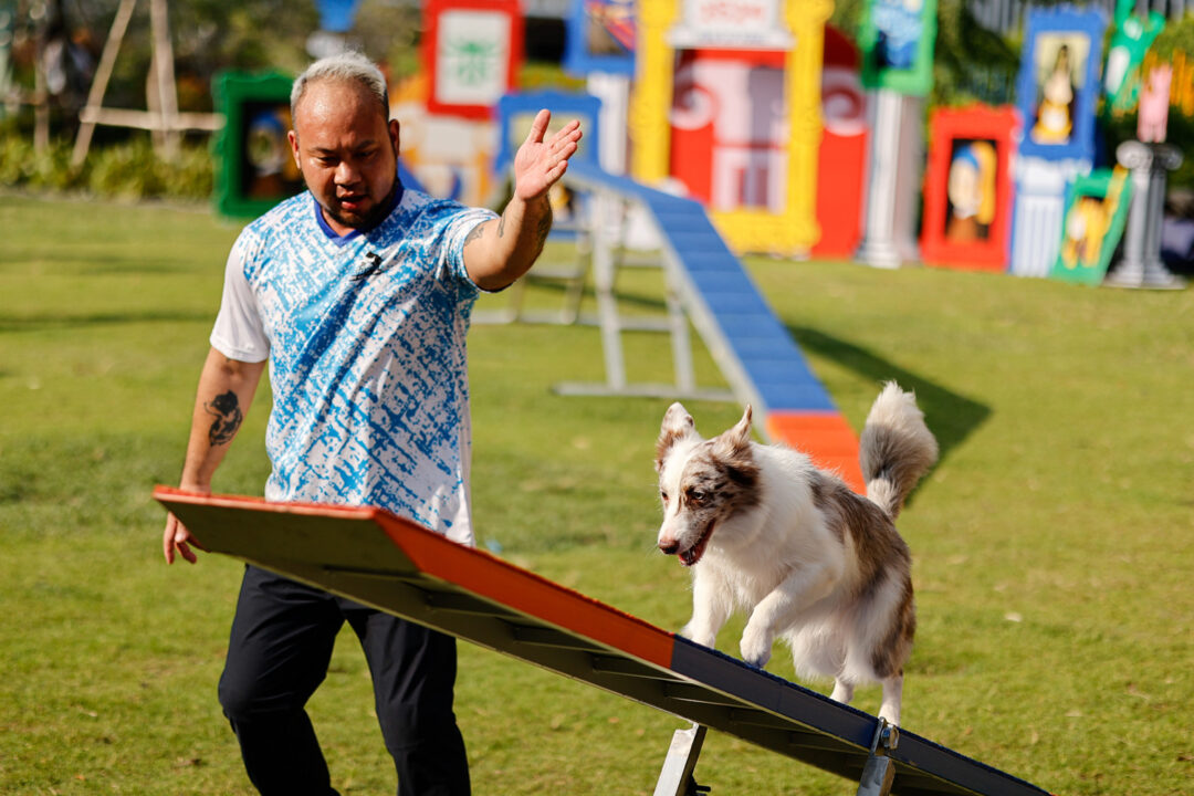 เก็บตกความคิ้วท์ของสี่ขาตัวแสบ เมกาบางนา จัดงาน “MEGA PET DAY 2024 : PAW OF FAME” ชวนเพื่อนรัก ...