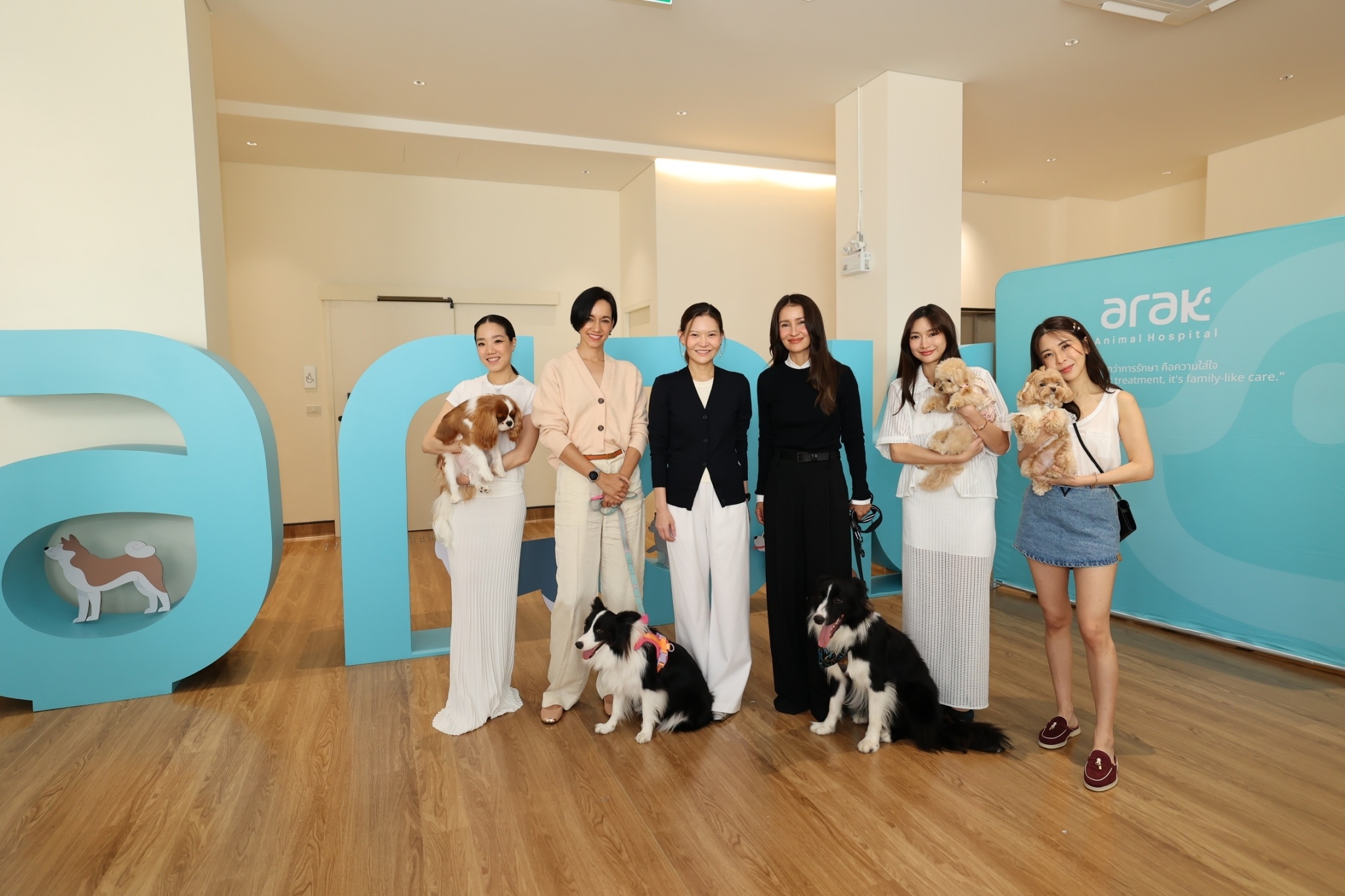 Arak animal hospital 2 - Mango Zero