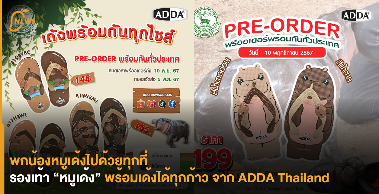 พกน้องหมูเด้งไปด้วยทุกที่ รองเท้า “หมูเด้ง” พร้อมเด้งได้ทุกก้าว จาก ...