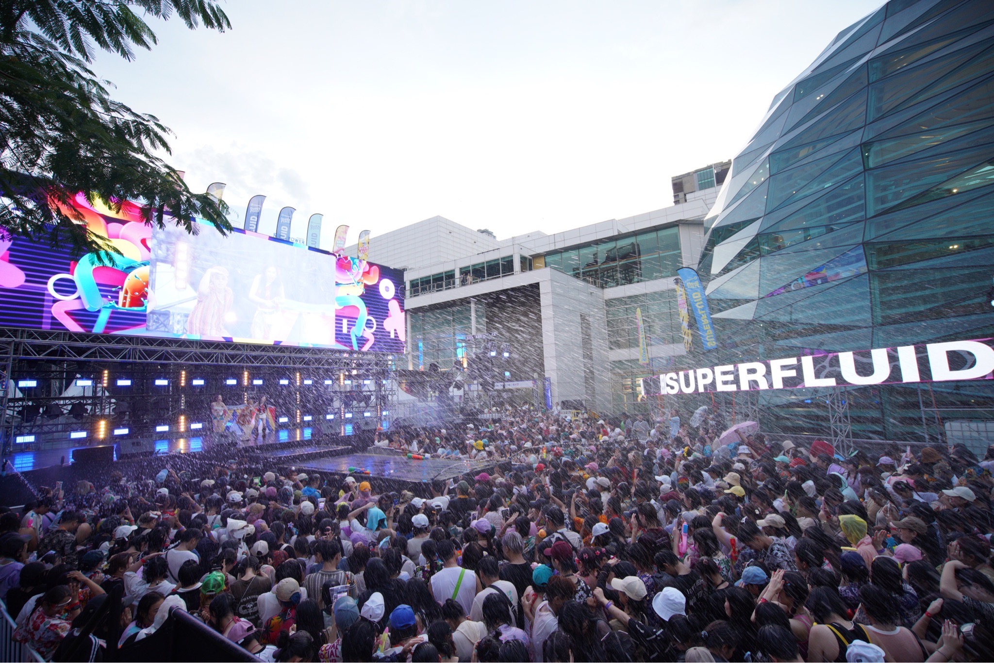 IMG_2868 - Mango Zero